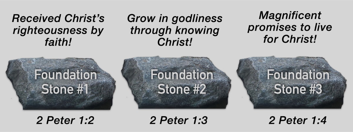 2 Peter 1:4 His Magnificent Promises | Biblical Foundations for Freedom