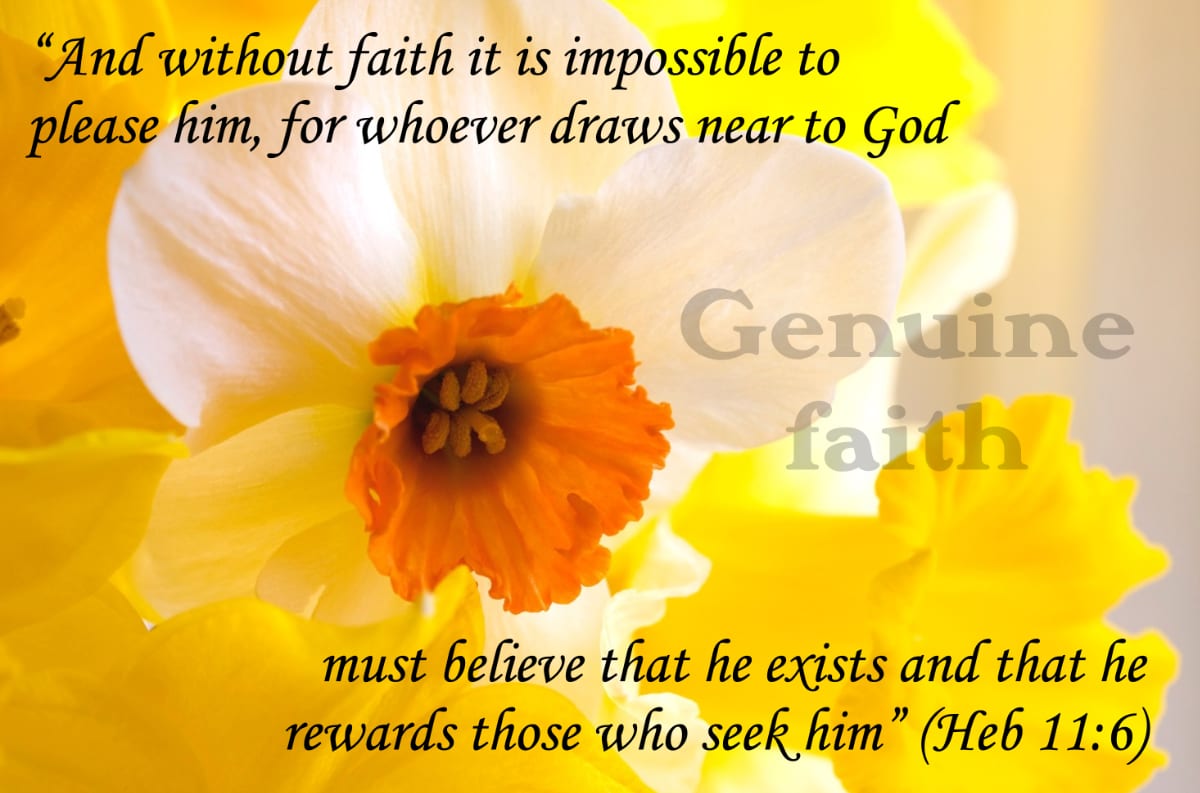 Hebrews 11:6 The Pursuit of God with Study Questions | Biblical ...